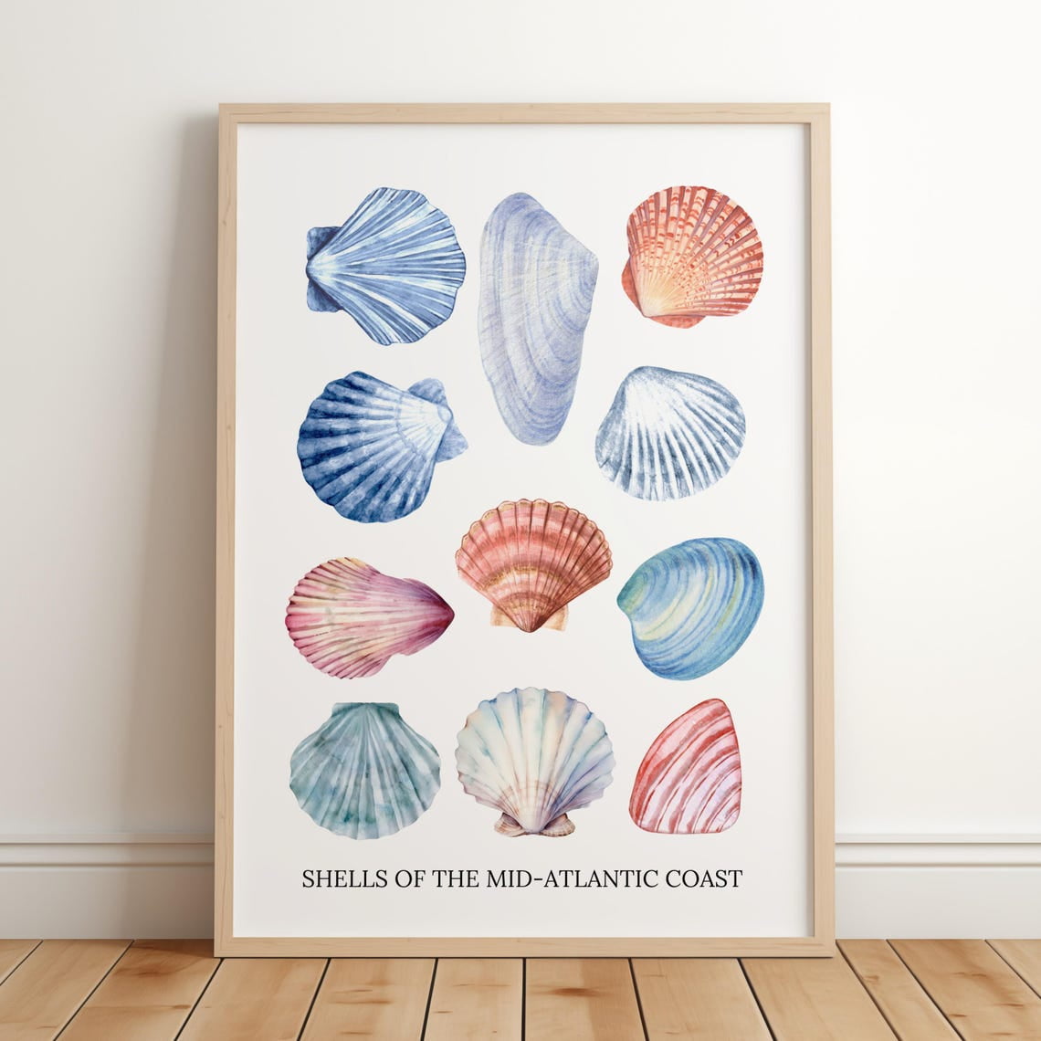 Kna Prints - 1 Pc Poster Seashell , Coastal Print, Eastcoast Beachy ...