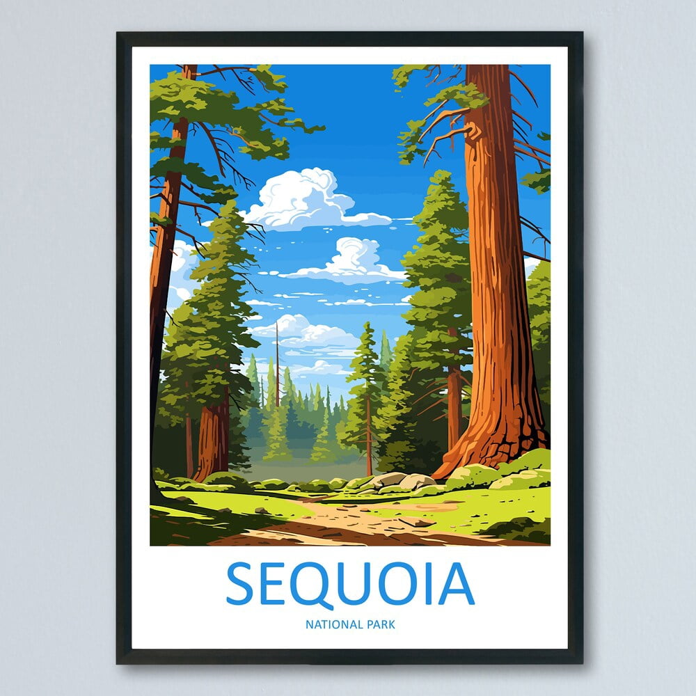 Kna Prints - 1 Pc Poster Sequoia National Park Travel Wall Art Sequoia ...