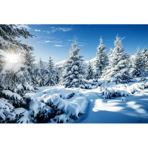 Kna Prints - 1 Pc Poster Snowy Pine Trees Poster Snow Forest Gift #8551 ...