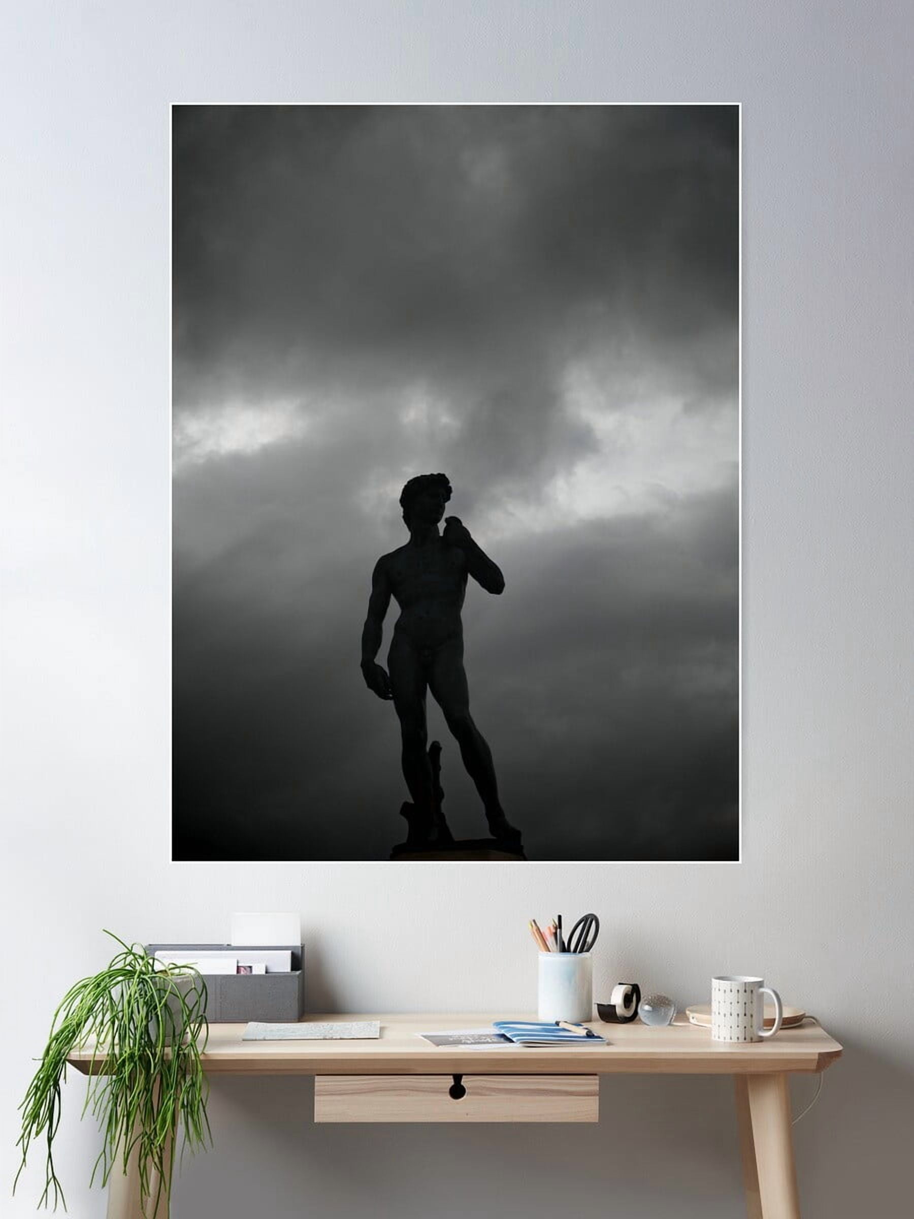 Kna Prints - 1 Pc Poster Statue Of David, Moody, UNFRAMED-8x12 ...