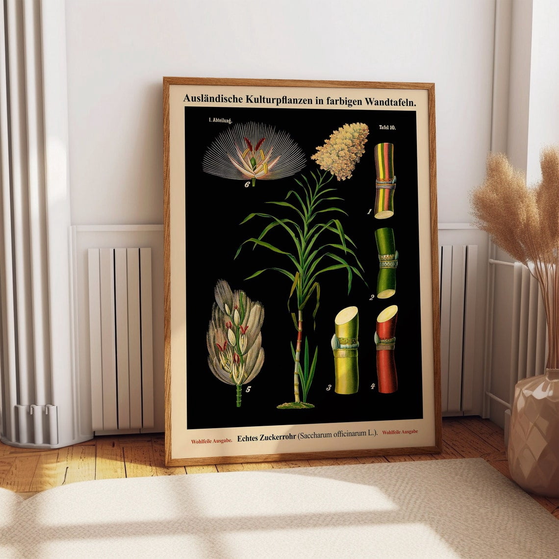 Kna Prints - 1 Pc Poster Sugarcane Botanical Art Sugarcane Decor ...
