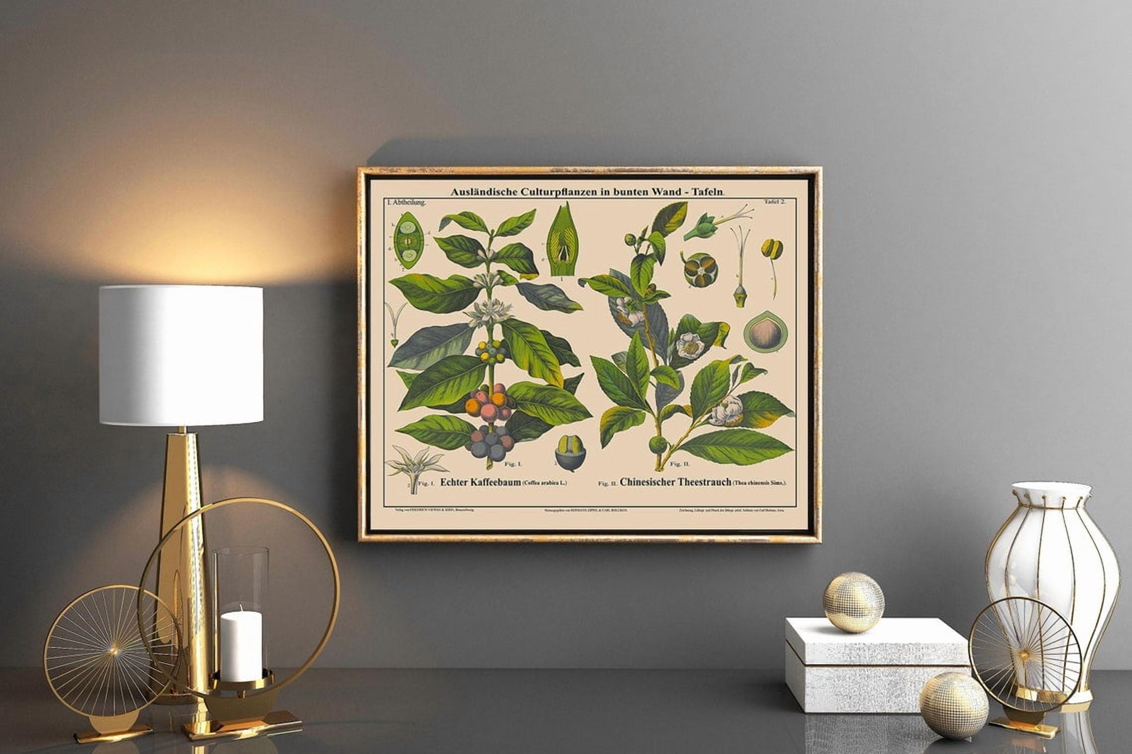 Kna Prints - 1 Pc Poster Tea And Coffee Plant Botanical Print Rare ...