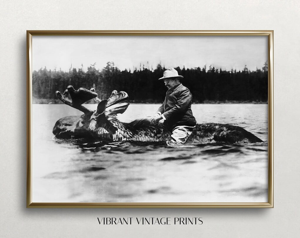Kna Prints - 1 Pc Poster Teddy Roosevelt Riding A Moose, Black And ...