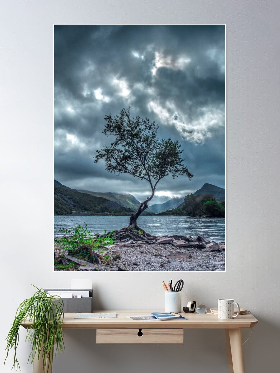 Kna Prints - 1 Pc Poster The Lone Tree, UNFRAMED-24x36 - Walmart.com