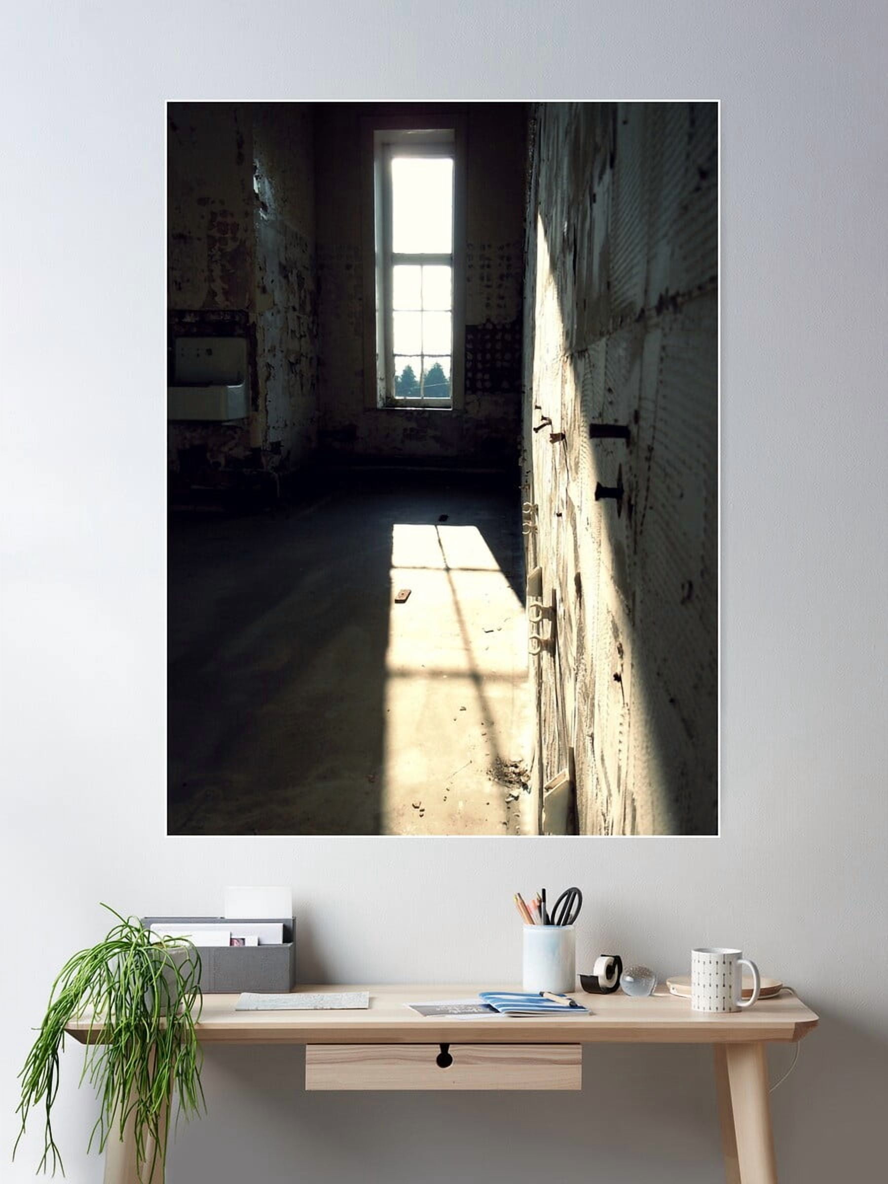 Kna Prints - 1 Pc Poster Two Trees ~ Pool Park Asylum, UNFRAMED-16x24 ...