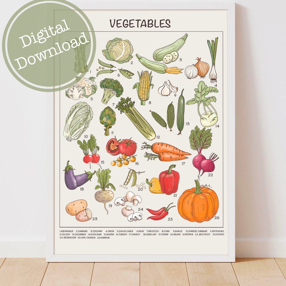 Kna Prints - 1 Pc Poster Vegetable Poster Preschool Able Prints ...