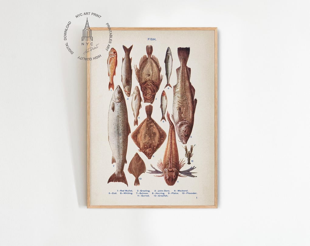Kna Prints - 1 Pc Poster Vintage Fish Print, Fish Art, Kitchen Wall Art ...