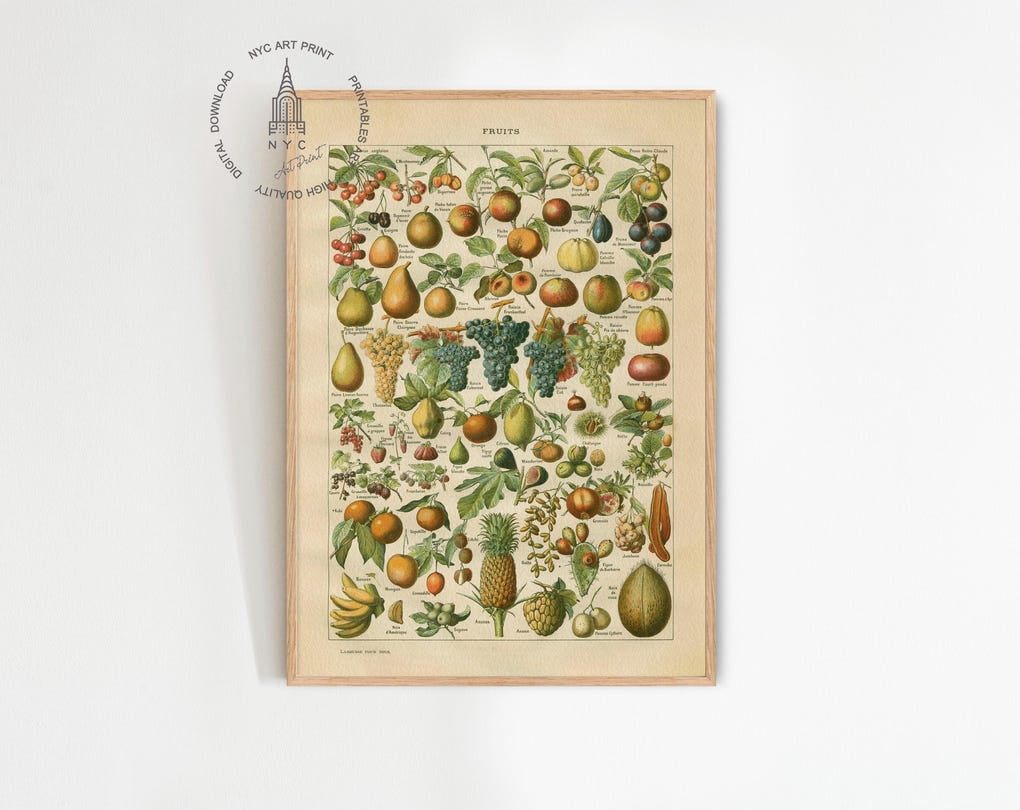 Kna Prints - 1 Pc Poster Vintage Fruits Print, Fruits Printable Wall ...