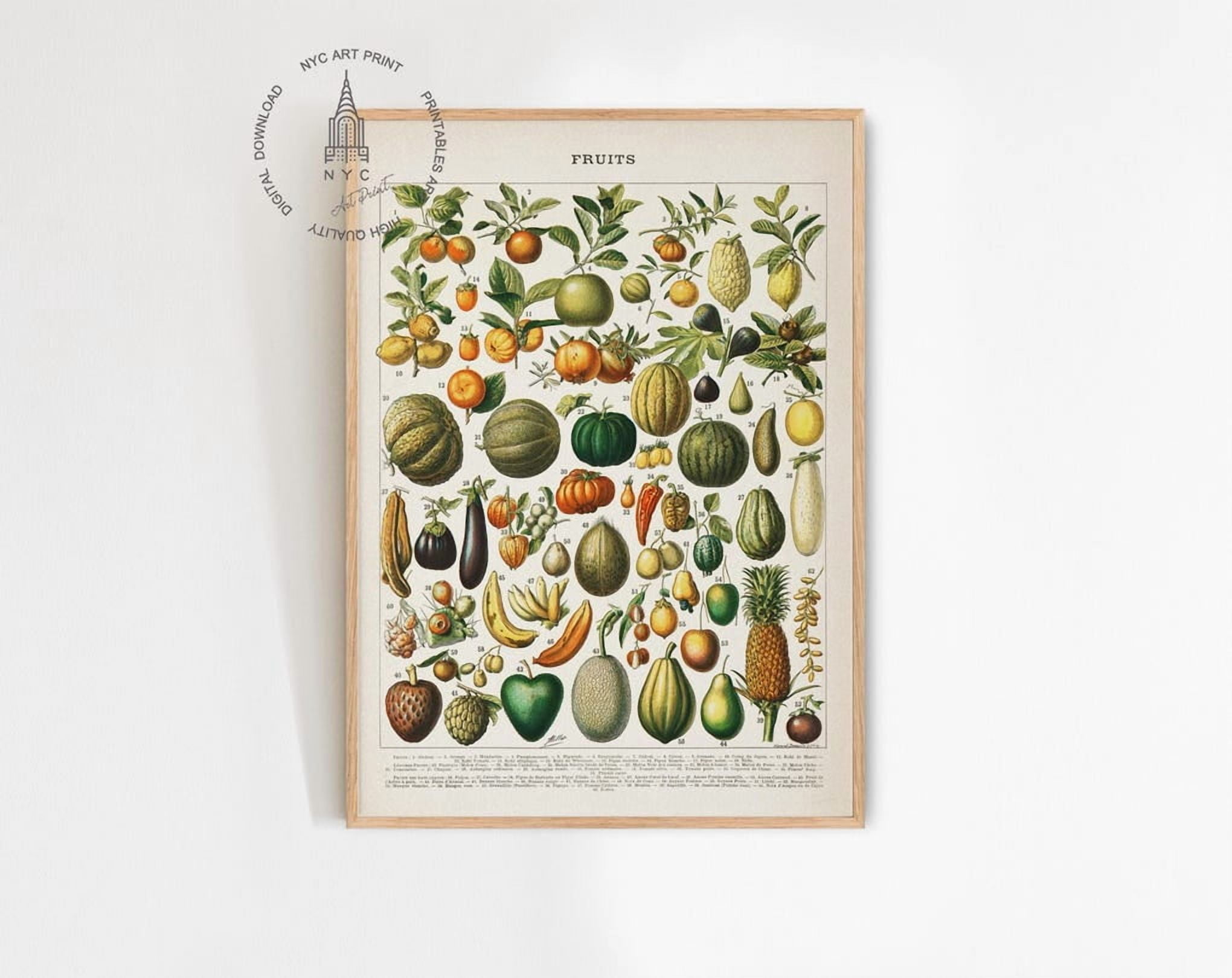 Kna Prints - 1 Pc Poster Vintage Fruits Print, Fruits Printable Wall ...