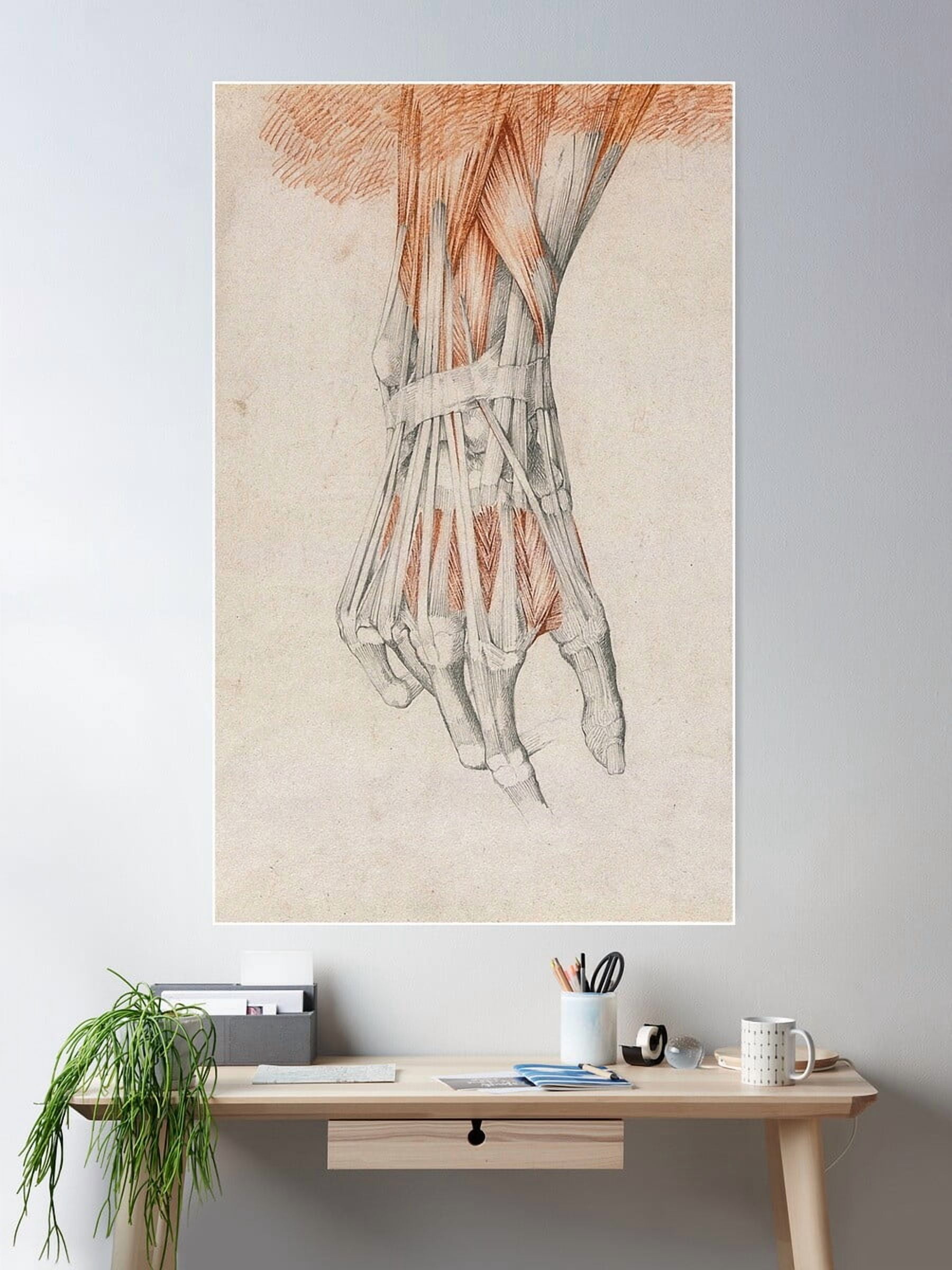 Kna Prints - 1 Pc Poster Vintage Reproduction Antonio Scarpa, Hand ...