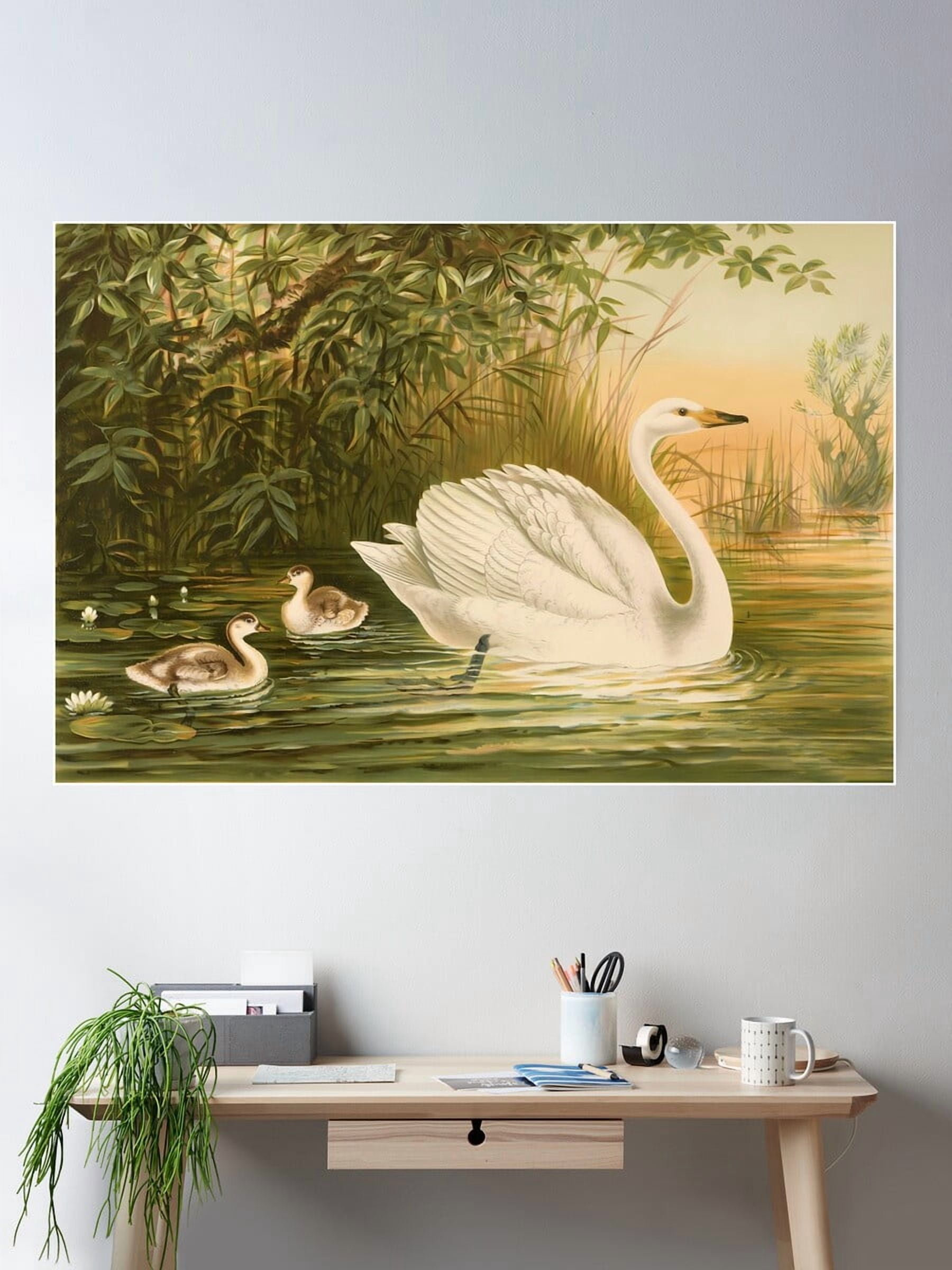 Kna Prints - 1 Pc Poster Vintage Swan With Babies Antique Nursery Art ...