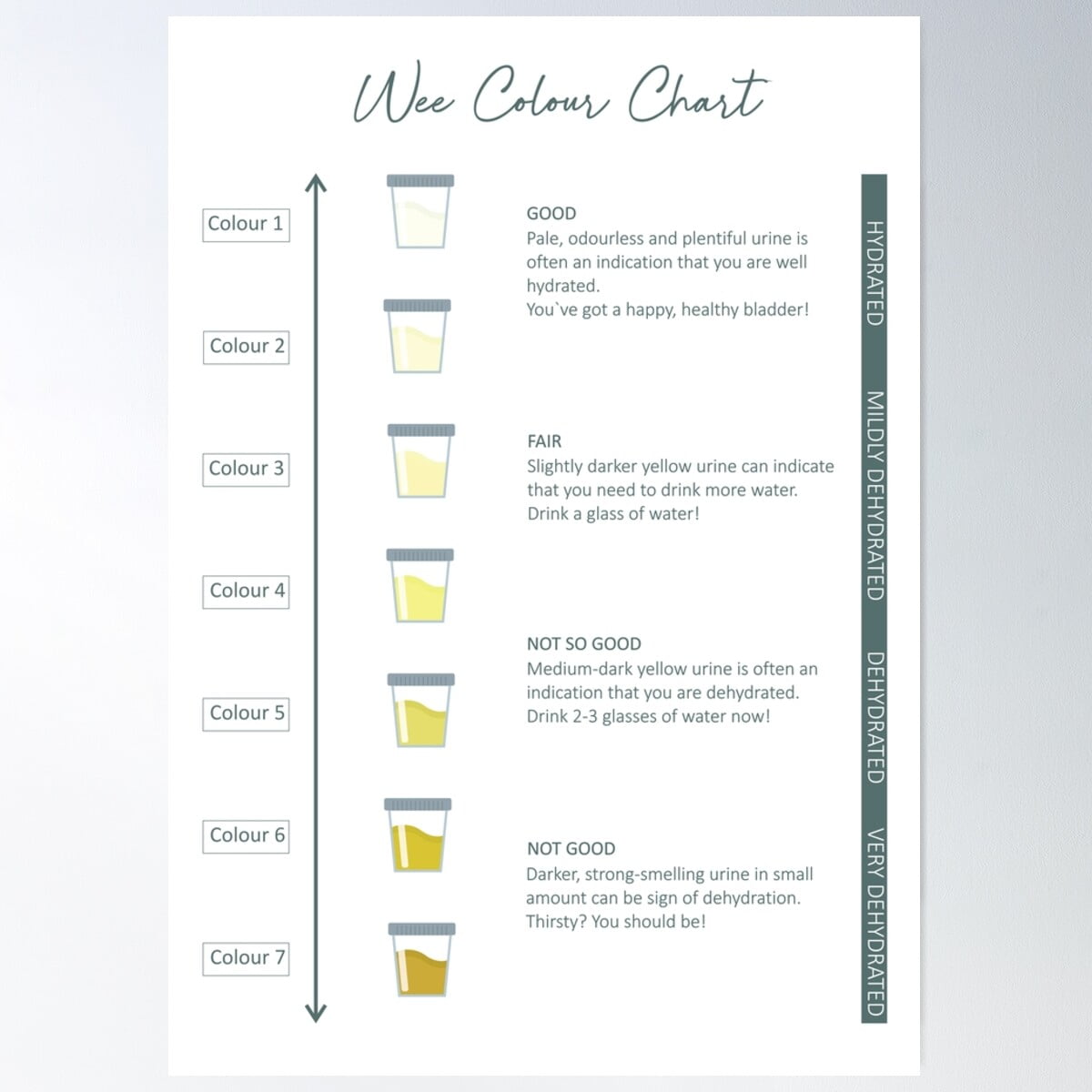 Kna Prints - 1 Pc Poster Wee Colour Chart Green, UNFRAMED-8x12 ...
