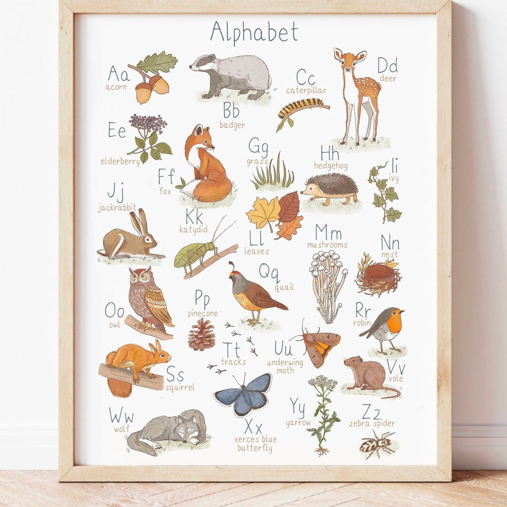 Kna Prints - 1 Pc Poster Woodland Alphabet Poster Woodland Animals ...