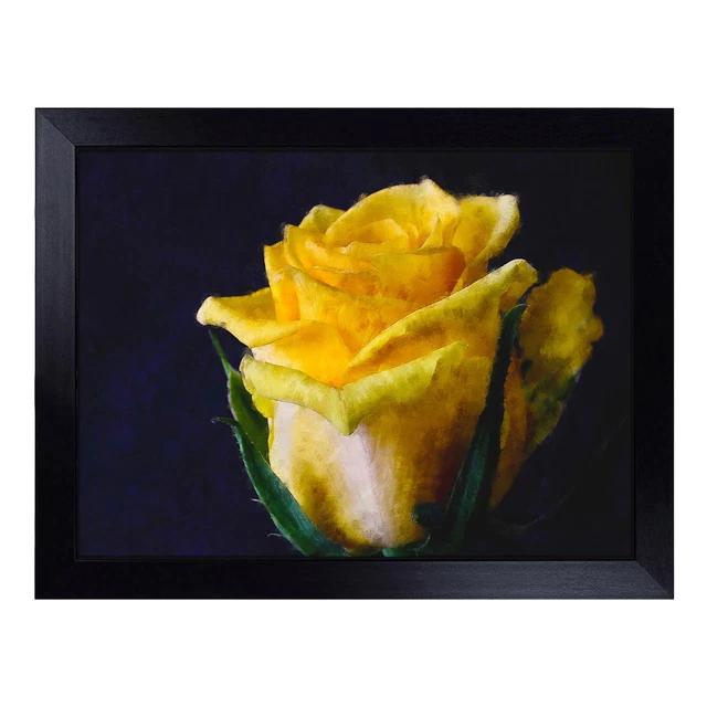 Kna Prints - 1 Pc Poster Yellow Rose Flower Vol.1, UNFRAMED-24x36 ...