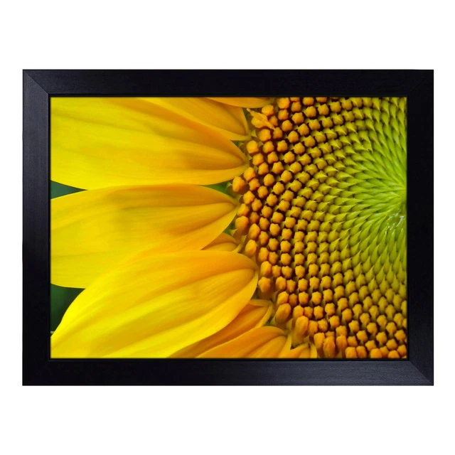 Kna Prints - 1 Pc Poster Yellow Sunflower Flower No.1, UNFRAMED-12x18 ...