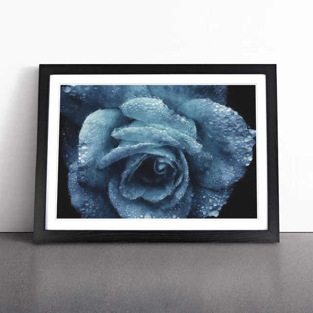 Kna Prints - 1 Pcs Poster Blue Rose Flower Vol.1 Picture Poster Decor ...