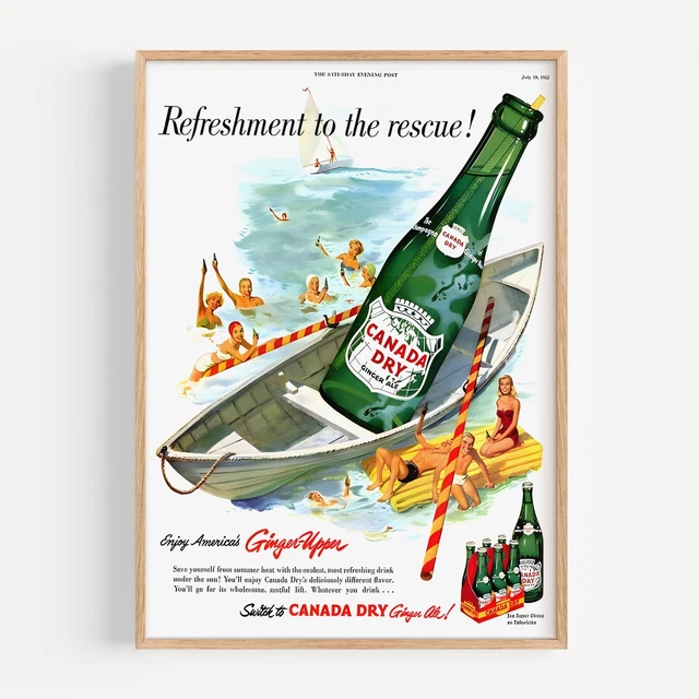 Kna Prints - 1 Pcs Poster Canada Dry - Refreshment To The Rescue Food ...