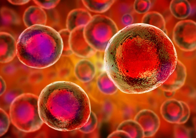 Kna Prints - 1 Pcs Poster Embryonic Stem Cells Poster Science Biology ...