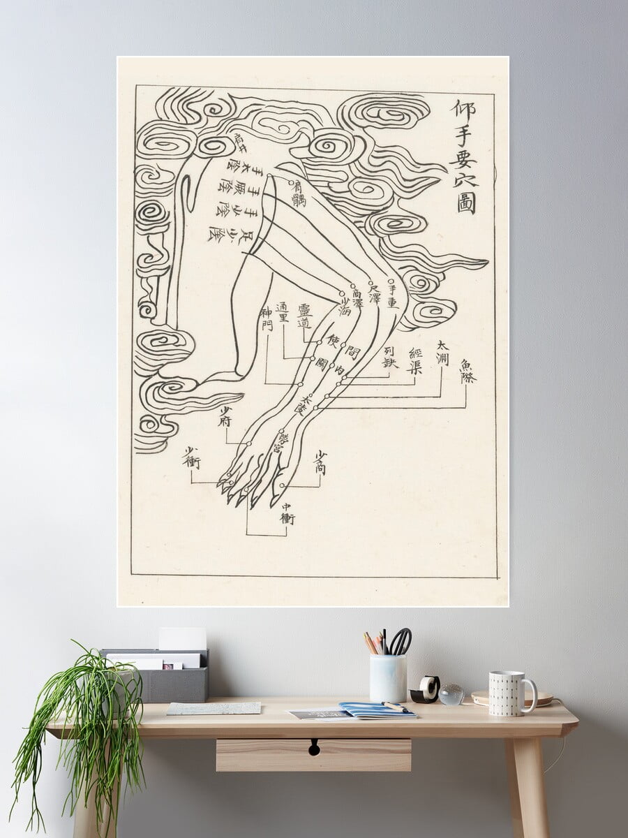 Kna Prints - Acupuncture Points And Meridians-The Arm Poster, UNFRAMED ...