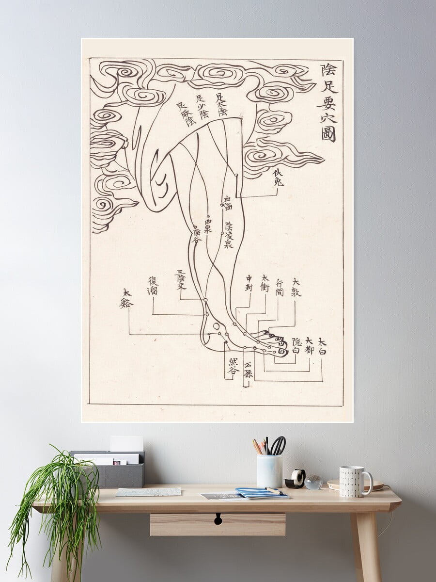 Kna Prints - Acupuncture Points And Meridians-The Foot Poster, UNFRAMED ...