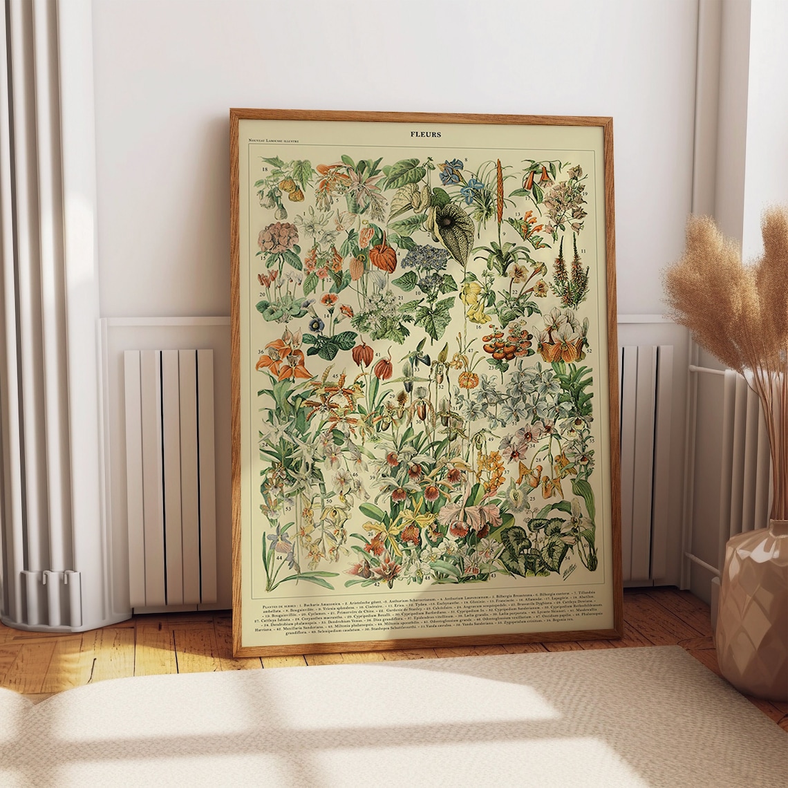 Kna Prints - Adolph Millot Wall Art Of Colorful Flowers, UNFRAMED-24x36 ...