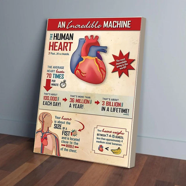 Kna Prints - An Incredible Machine Paramedic Poster, Prints Wall Art ...