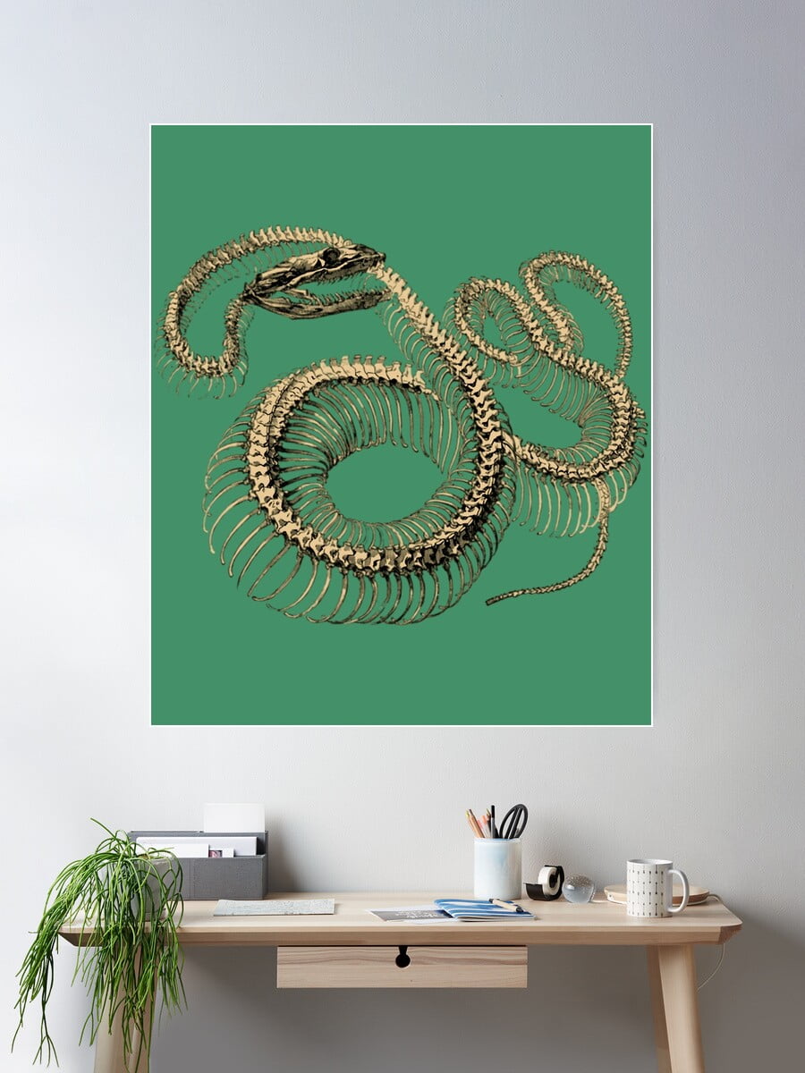 Kna Prints - Antique Typographic Vintage Snake Skeleton Poster ...