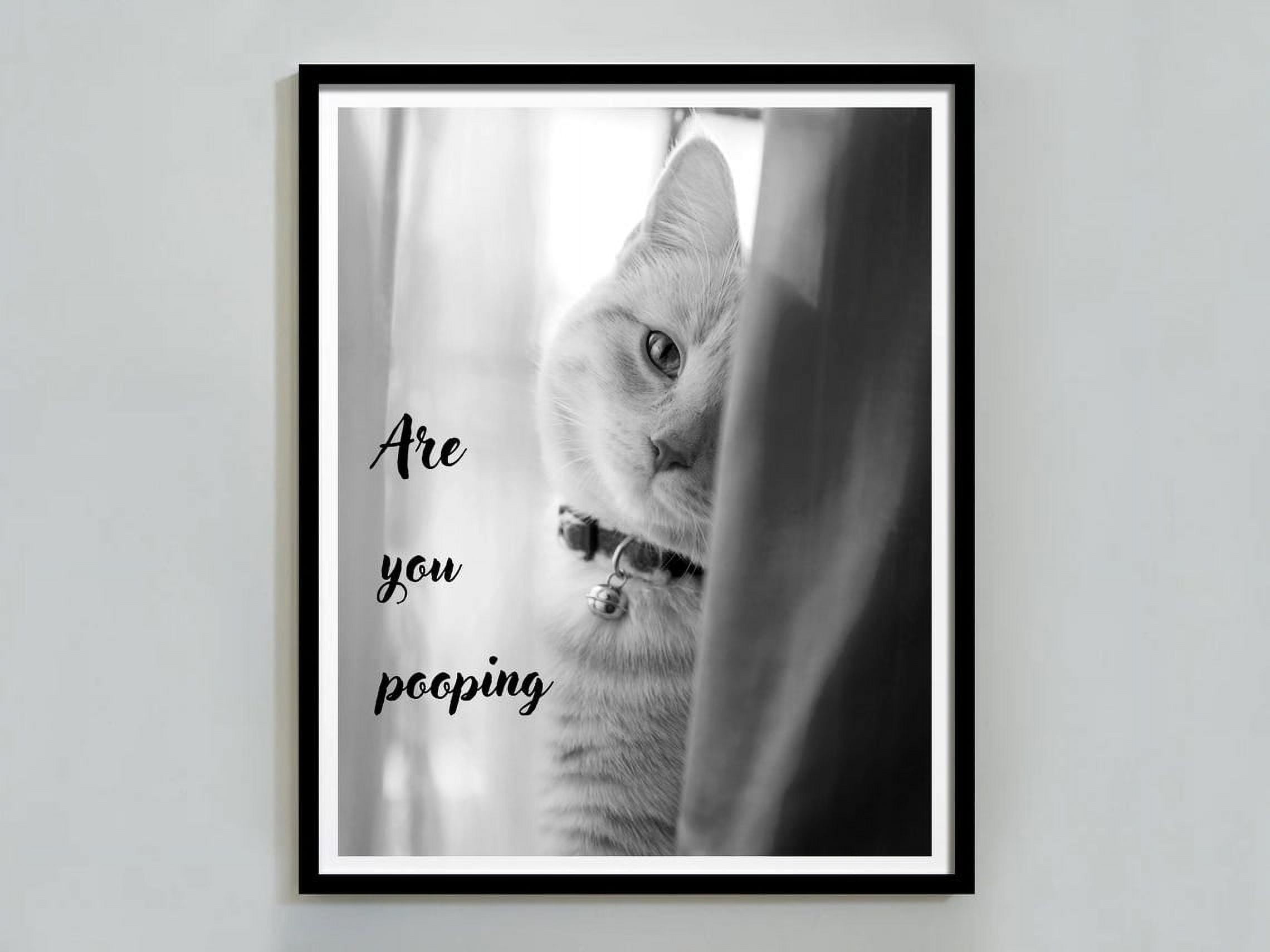 Kna Prints - Are You Pooping Cat Print, Black And White, Funny Bathroom ...