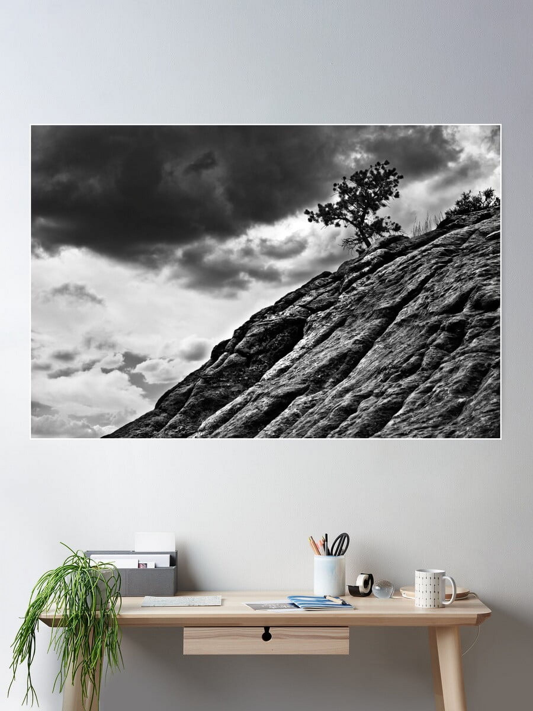 Kna Prints - Aspiring Shade Tree I Poster , UNFRAMED-8x12 - Walmart.com