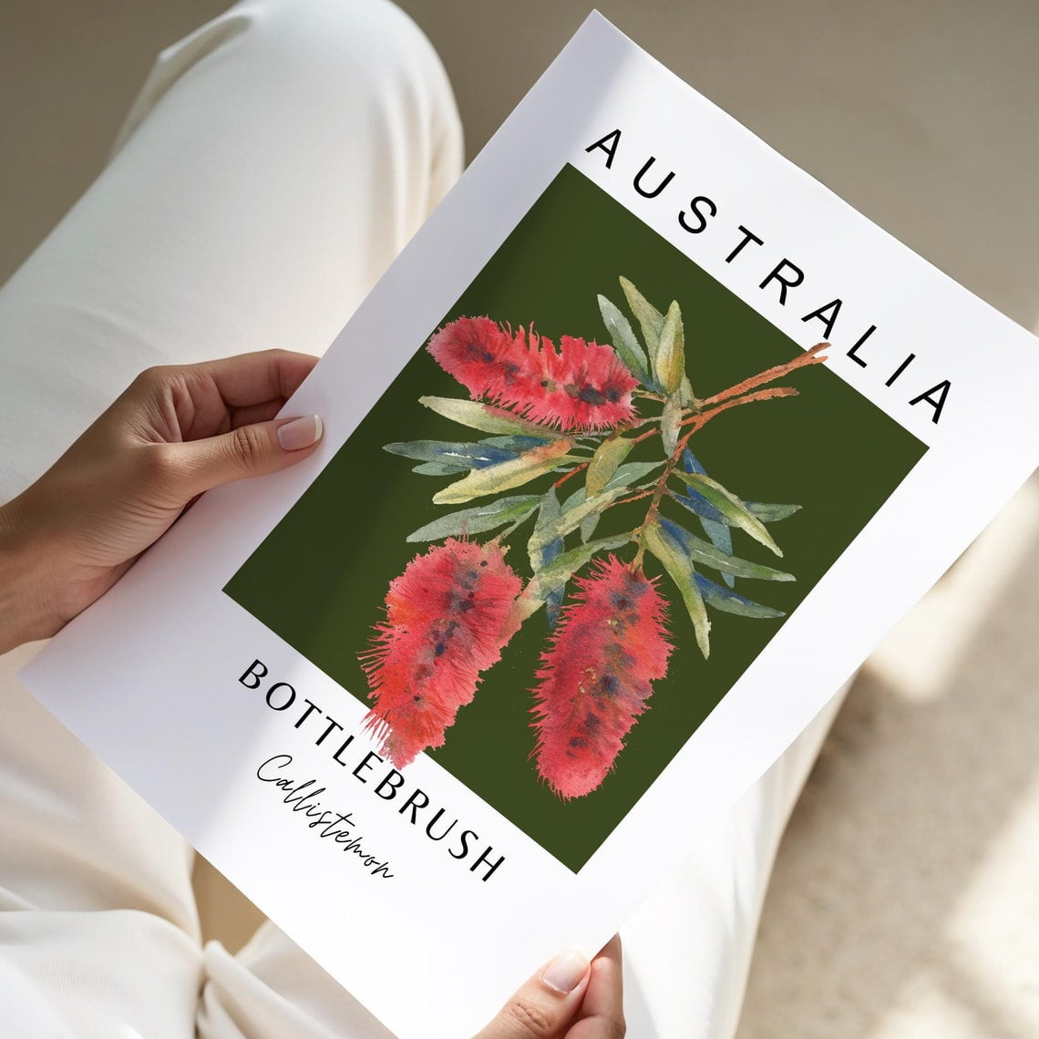 Kna Prints - Bottle Brush Australia Print, Australian Native Trees ...
