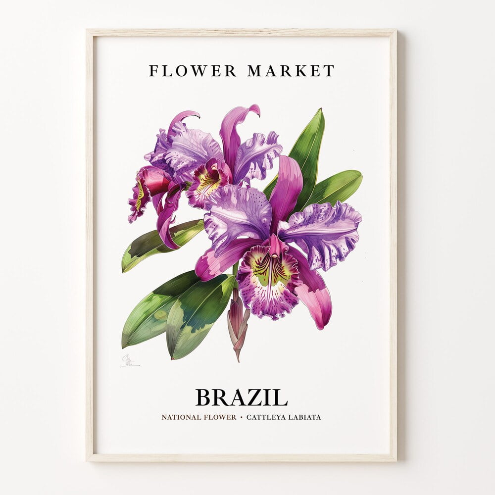Kna Prints - Brazil National Flower Poster Print, Cattleya Labiata 1960 ...