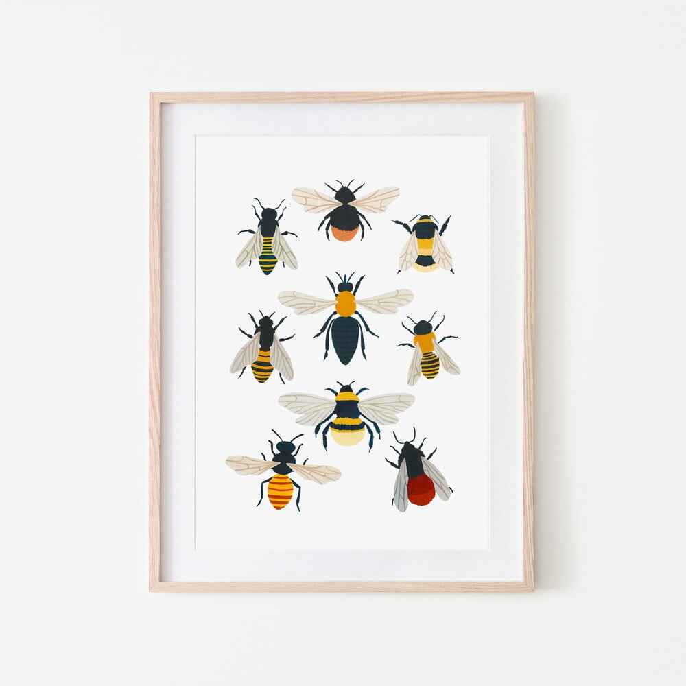 Kna Prints - British Bee Species Print, Insect Print, Bumblebee ...