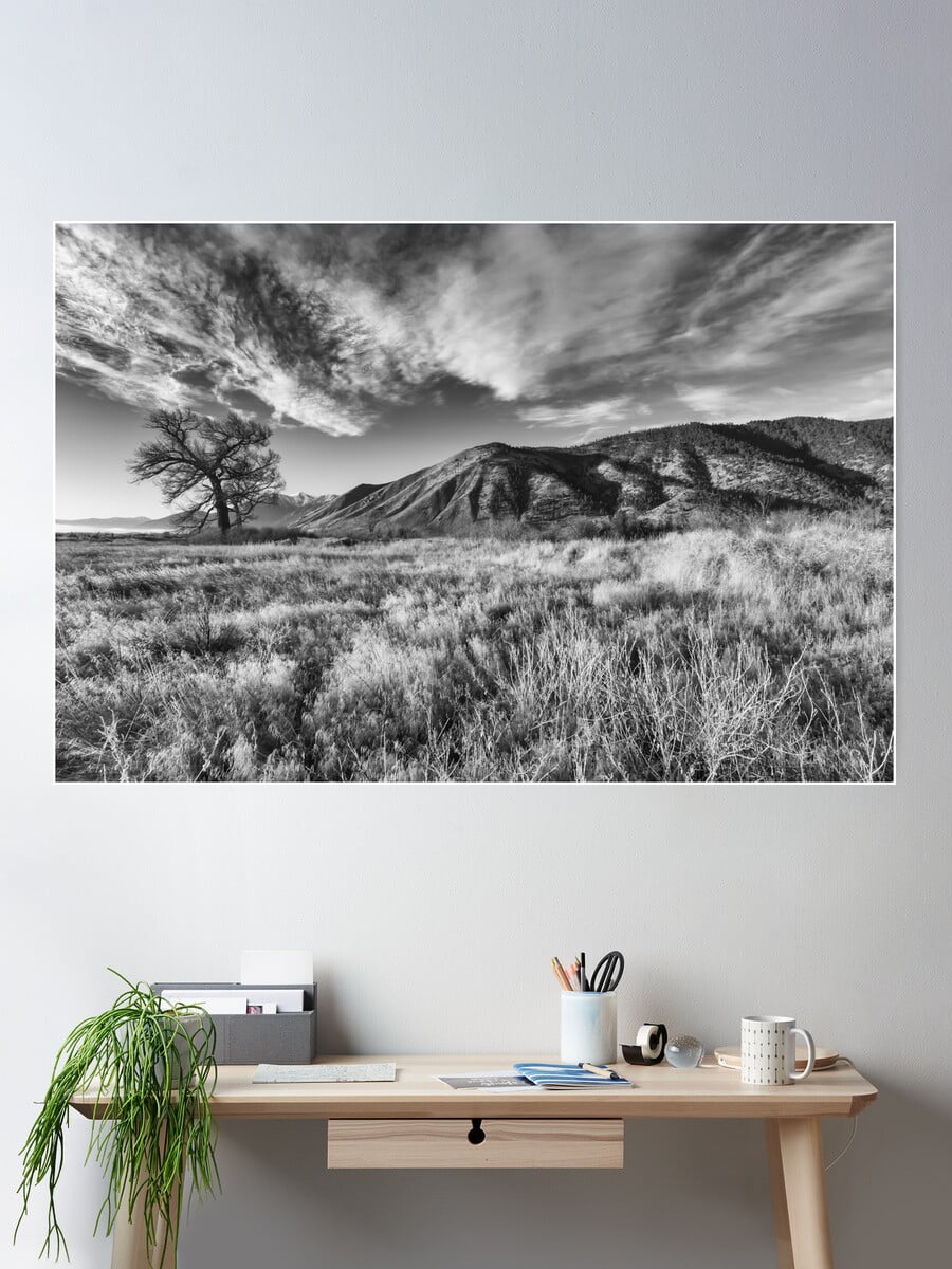 Kna Prints - Carson Valley B&W2 Poster Wall Art, Modern Wall Decor For ...