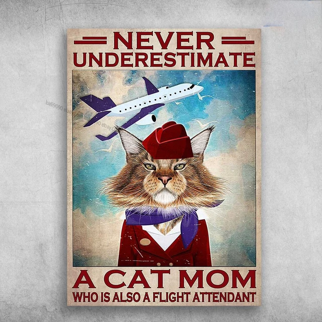 Kna Prints - Cat Lover, Flight Attendant Poster, Never Underestimate A ...