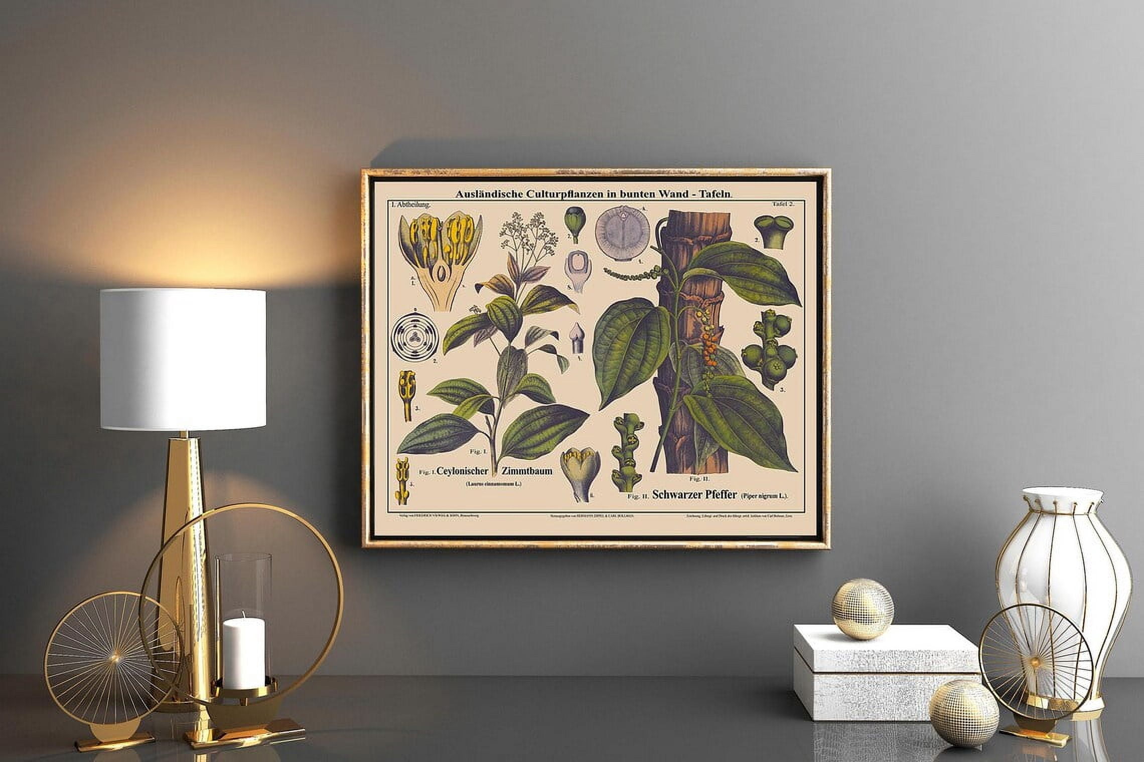 Kna Prints - Cinnamon Tree Botanical Art And Black Pepper Botanical ...