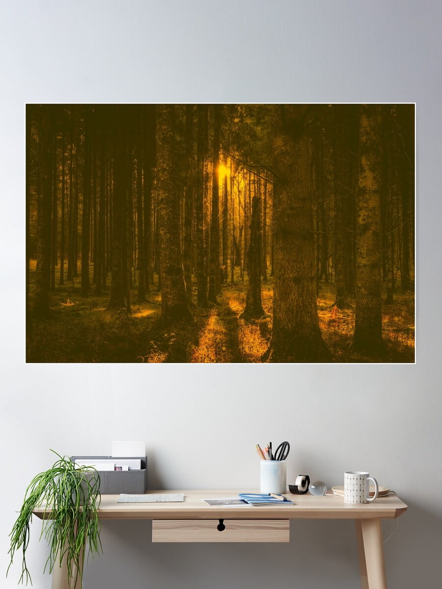 Kna Prints - Enchanted Forest Poster, UNFRAMED-8x12 - Walmart.com
