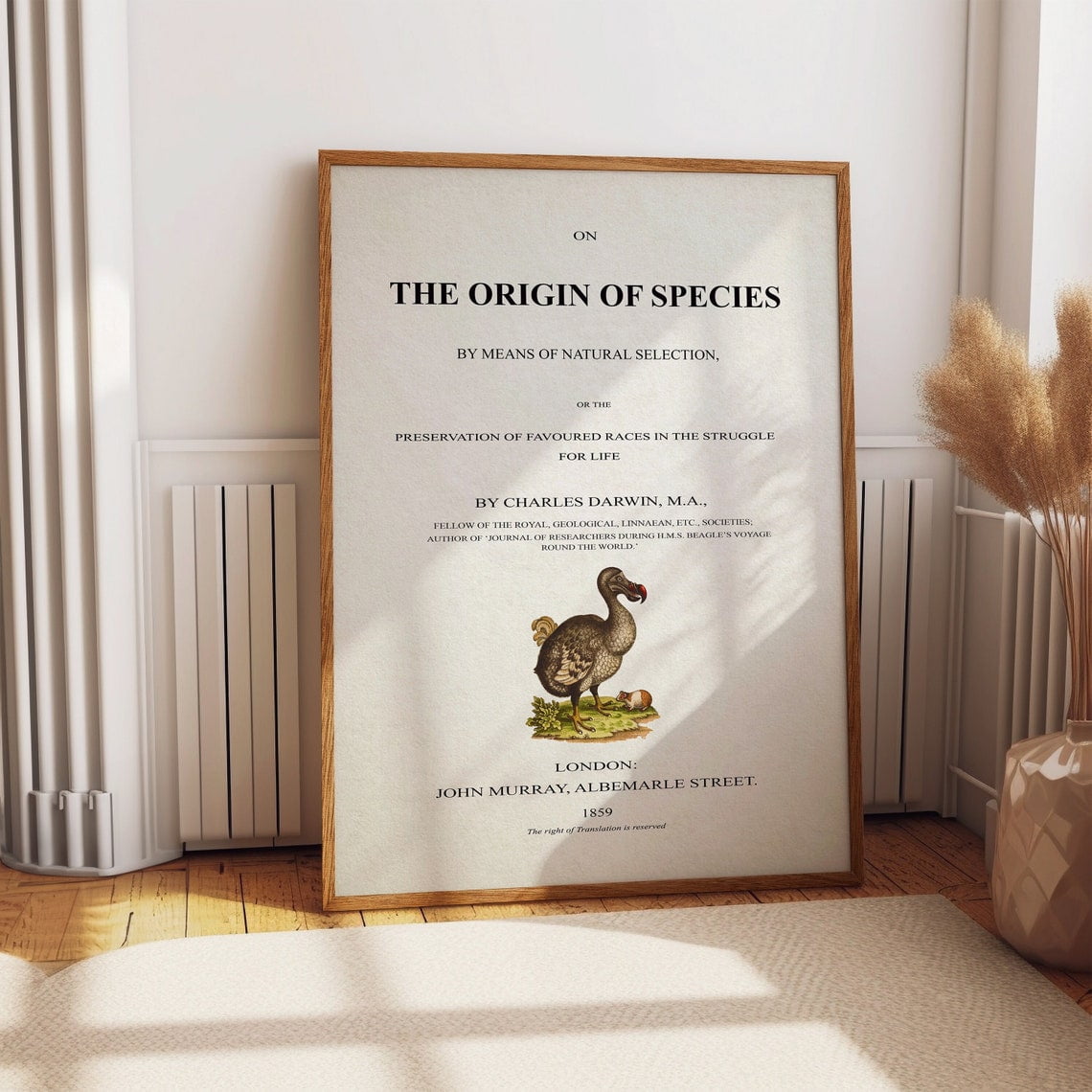 Kna Prints - Evolution Unveiled: Stunning Charles Darwin Poster Title ...