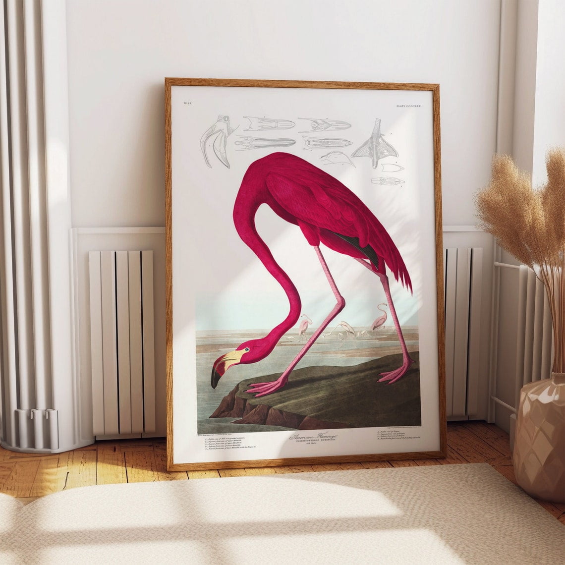 Kna Prints - Flamingo Illustration Flamingo Print By John James Audubon ...