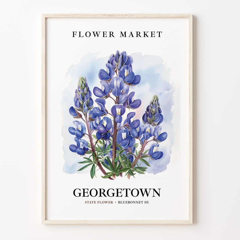 Kna Prints - Georgetown Texas Flower Market Poster Print, Bluebonnet ...