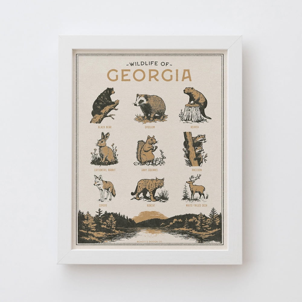 Kna Prints - Georgia Wildlife Wall Art Print - Vintage Poster Design ...