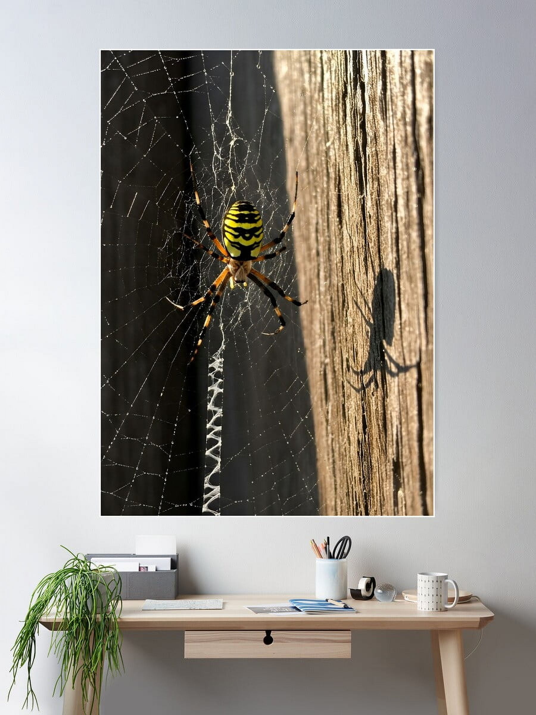 Kna Prints - Golden Web: Yellow Garden Sentinel Poster, UNFRAMED-8x12 ...