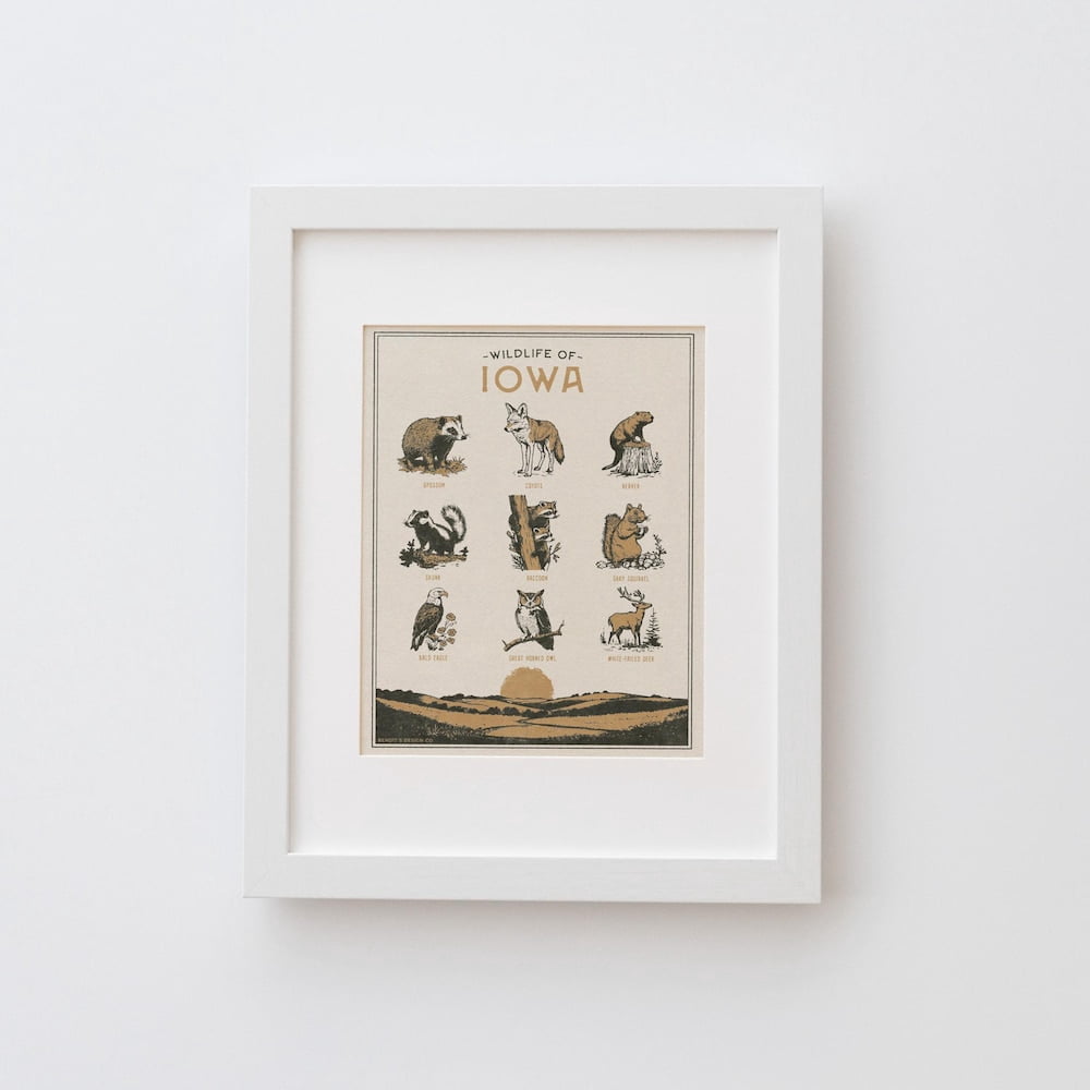 Kna Prints - Iowa Wildlife Wall Art Print - Vintage Animal Poster ...