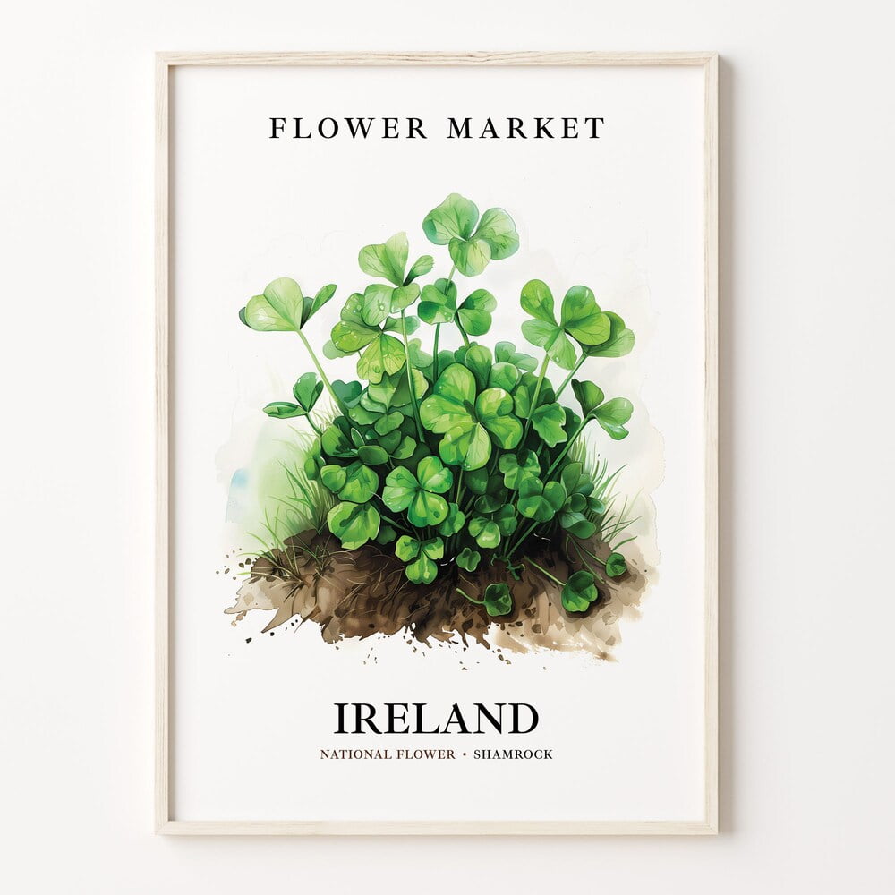 Kna Prints - Ireland National Flower Poster Print, Shamrock Wall Art ...