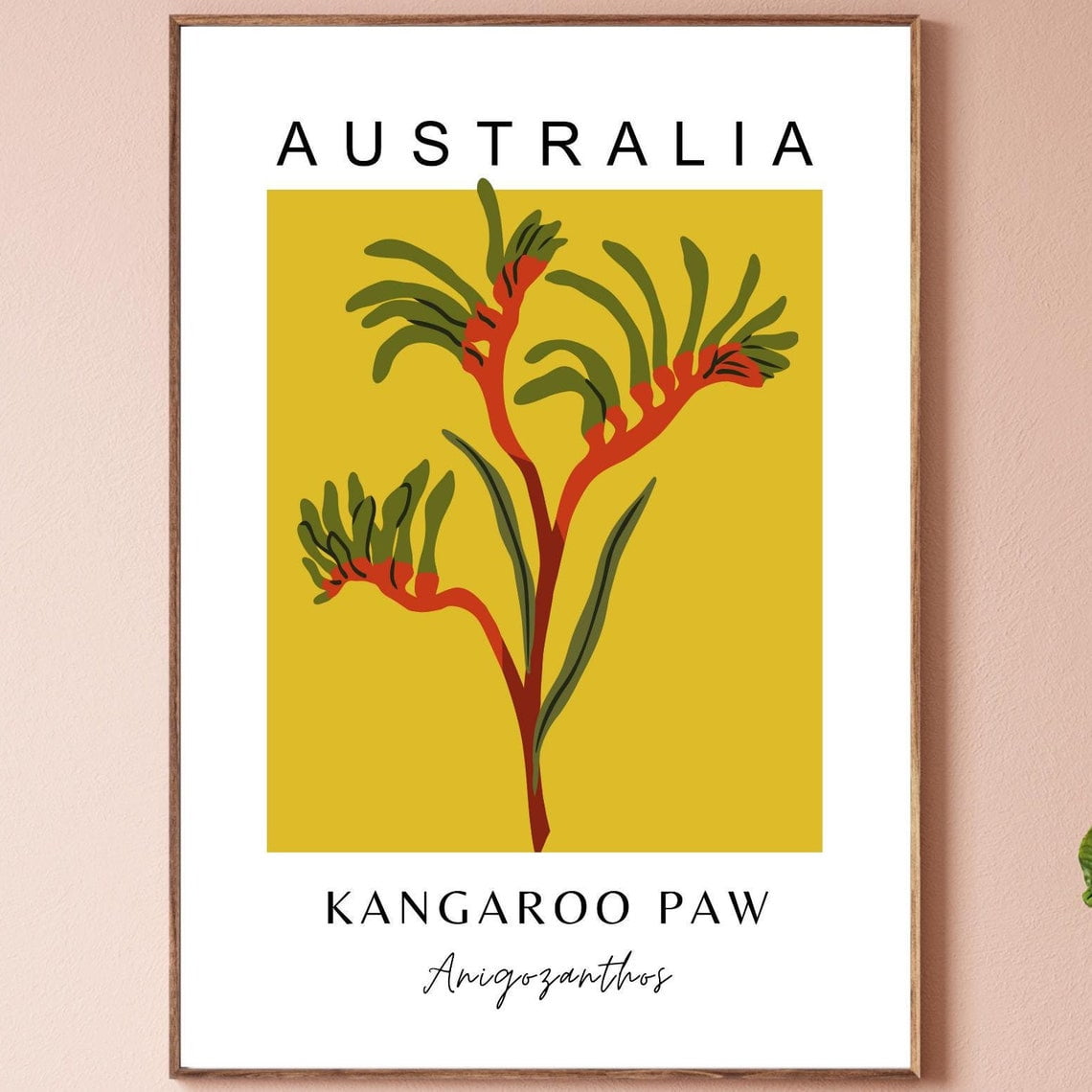 Kna Prints - Kangaroo Paw Print, Australian Native Print, Australia ...