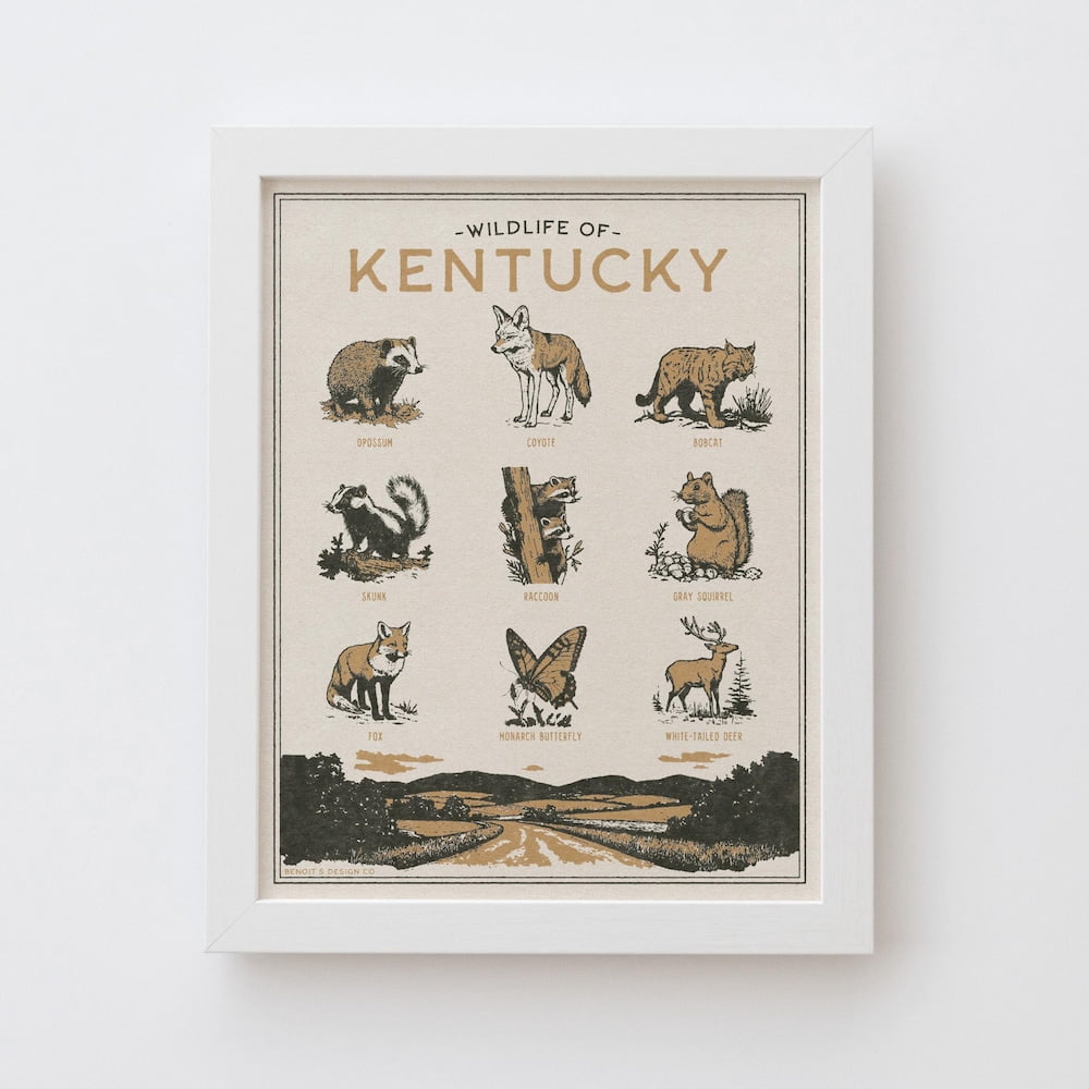 Kna Prints - Kentucky Wildlife Wall Art Print - Vintage Animal Poster ...