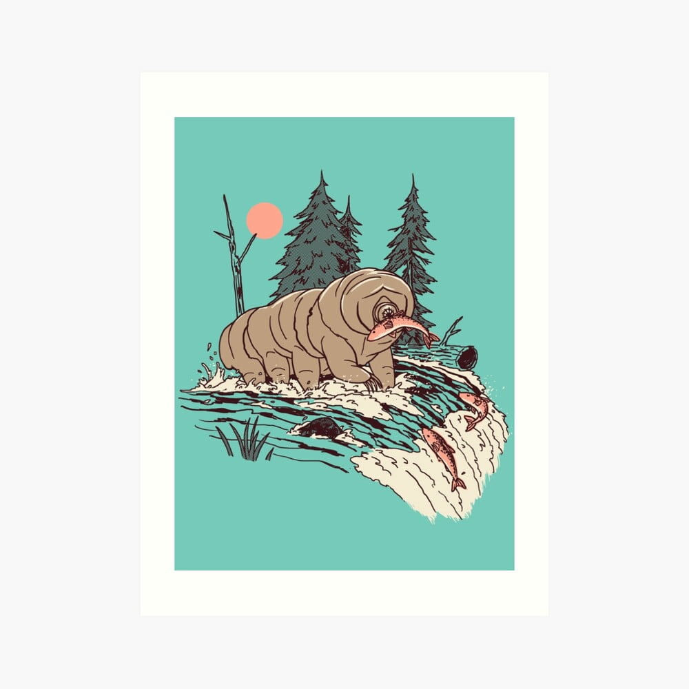 Kna Prints - Kir 2558 - Water Bear Poster, UNFRAMED-18x24 - Walmart.com
