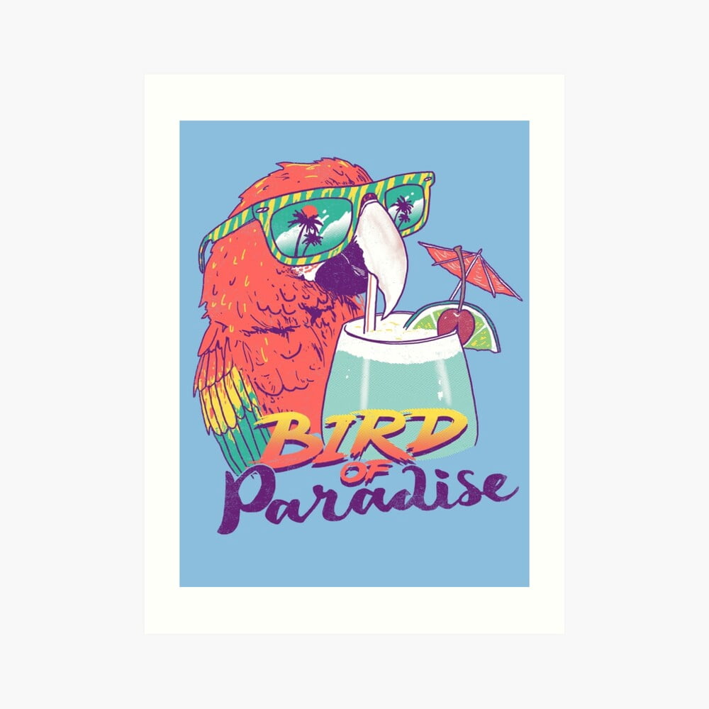 Kna Prints - Kir 2581 - Bird Of Paradise Poster, UNFRAMED-8x12 ...