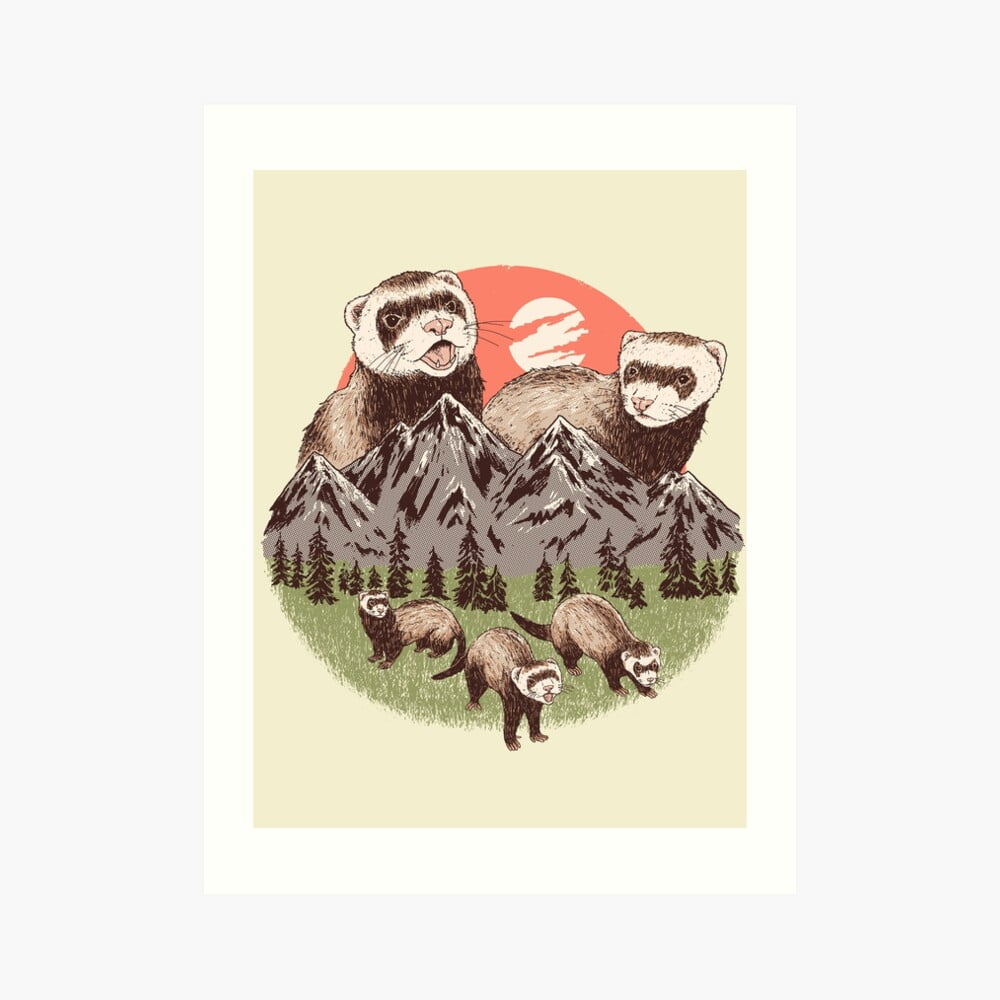 Kna Prints - Kir 2595 - Mountain Ferrets Poster, UNFRAMED-18x24 ...