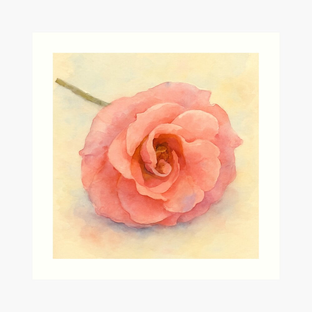 Kna Prints - Kir 2925 - Watercolor Pink Rose Botanical Art Poster ...