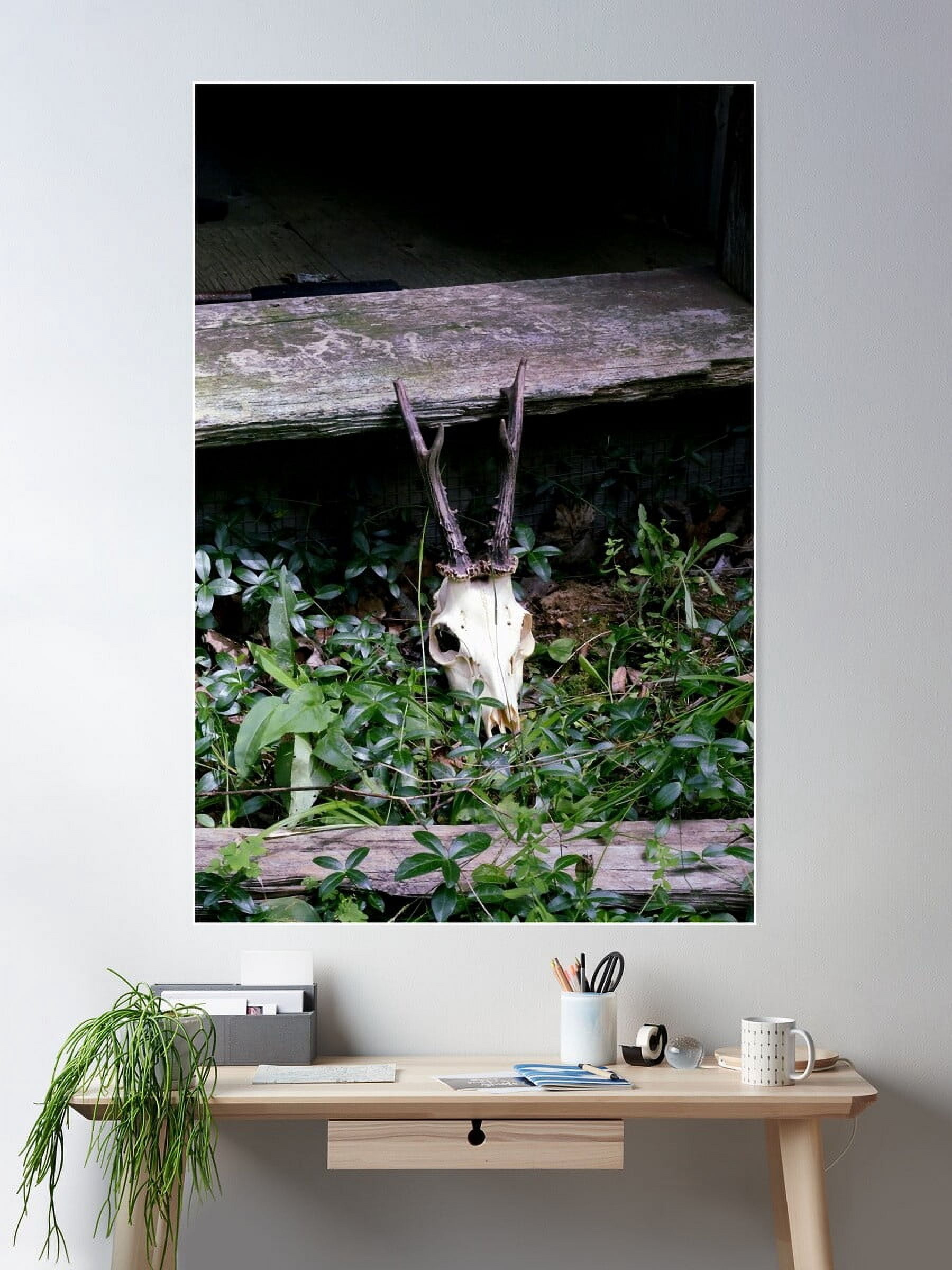 Kna Prints - Life After Death 1 Poster Wall Art, Modern Wall Decor For ...